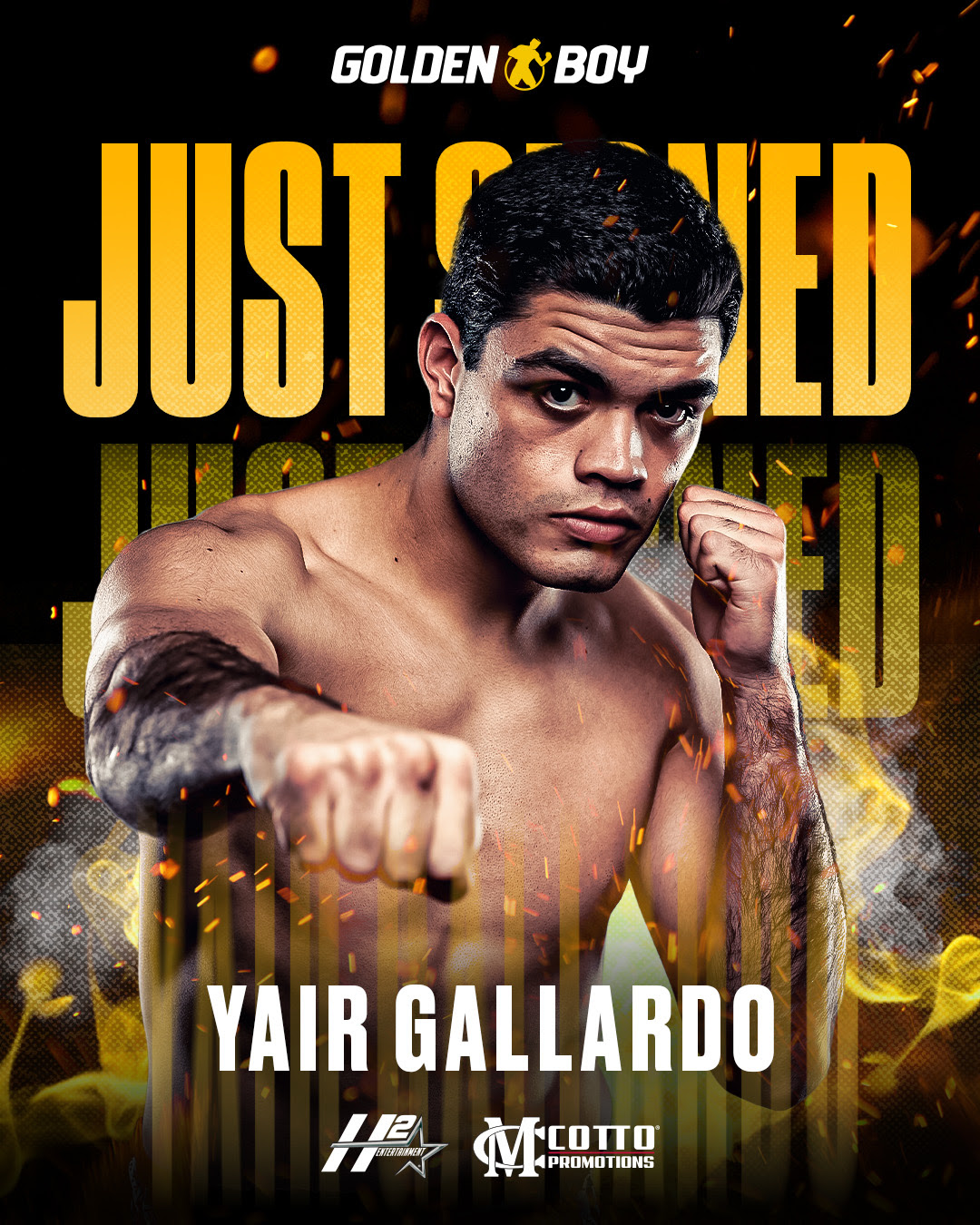 Upcoming Boxing Schedule 2025