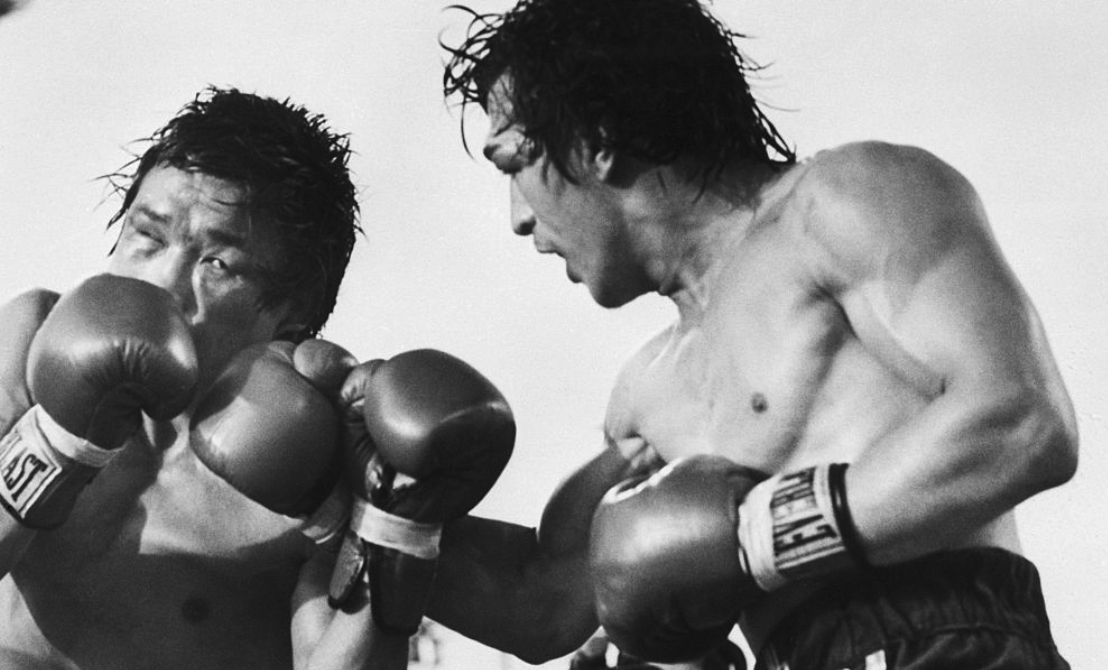 Isaac Cruz Boxing Record